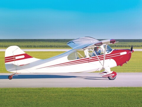 Aircraft Showdown: Cub vs. 'Champ' – Exploring Aviation's Iconic ...