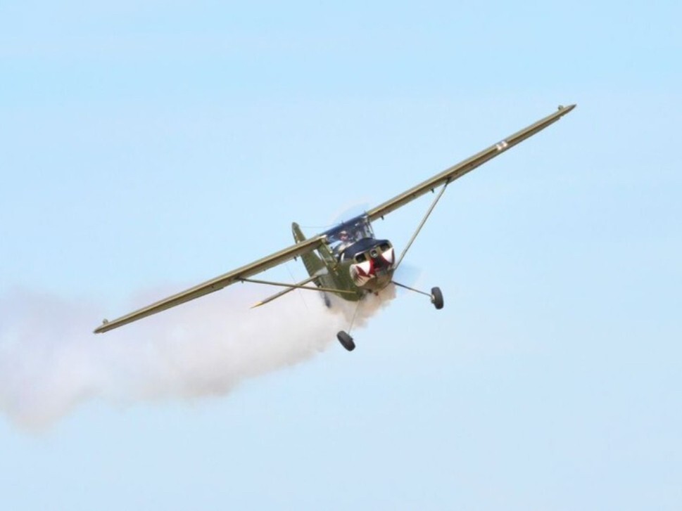 A Very Special Animal: Cessna's Bird Dog | AvBuyer