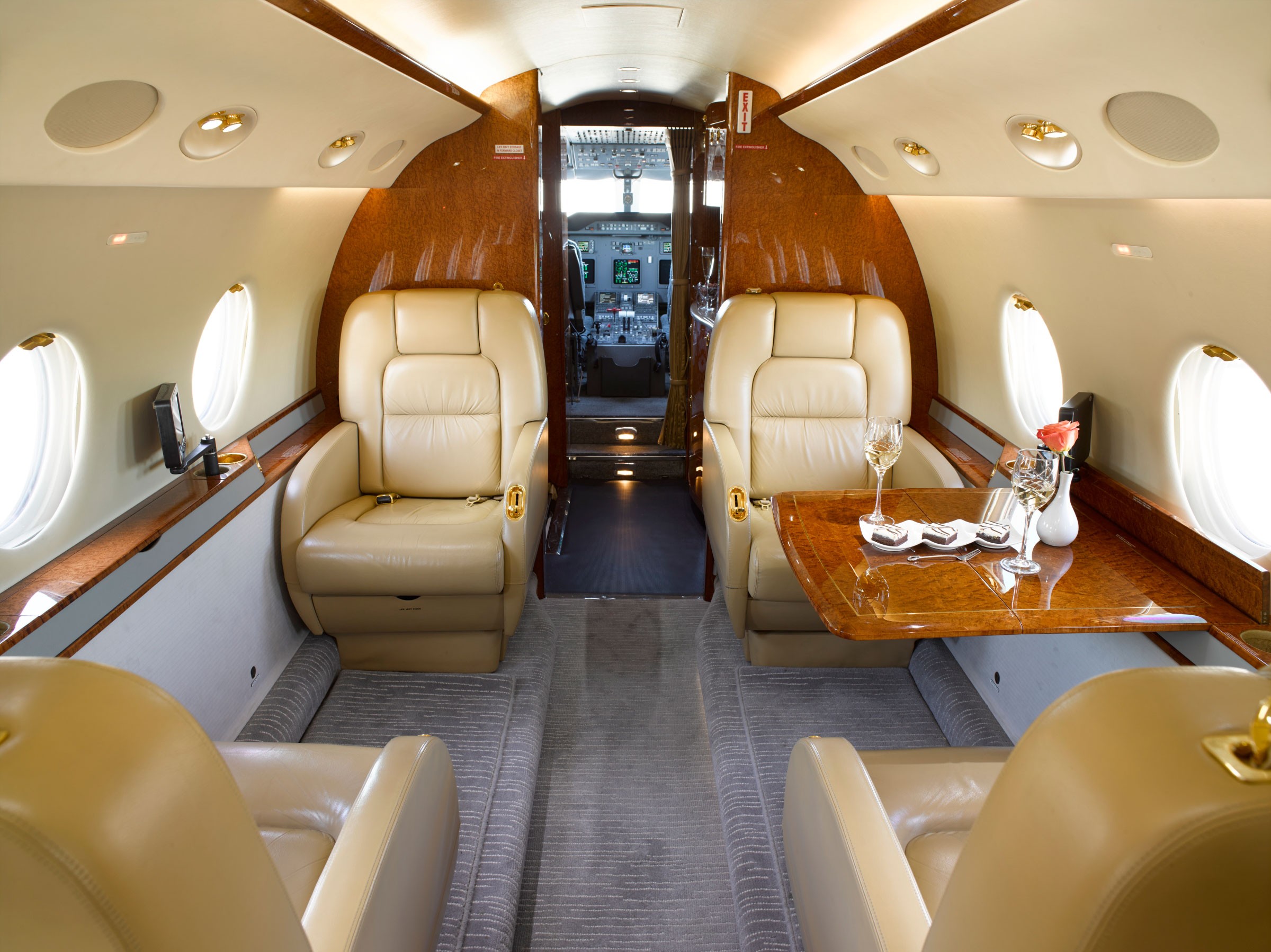 2008 Gulfstream G200 For Sale | FL, US. 7387.6 hrs. | AvBuyer