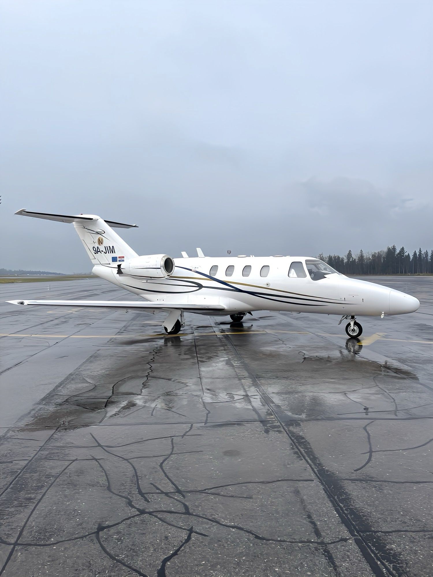 1998 Cessna Citation Jet For Sale | Austria. 7556 hrs. | AvBuyer