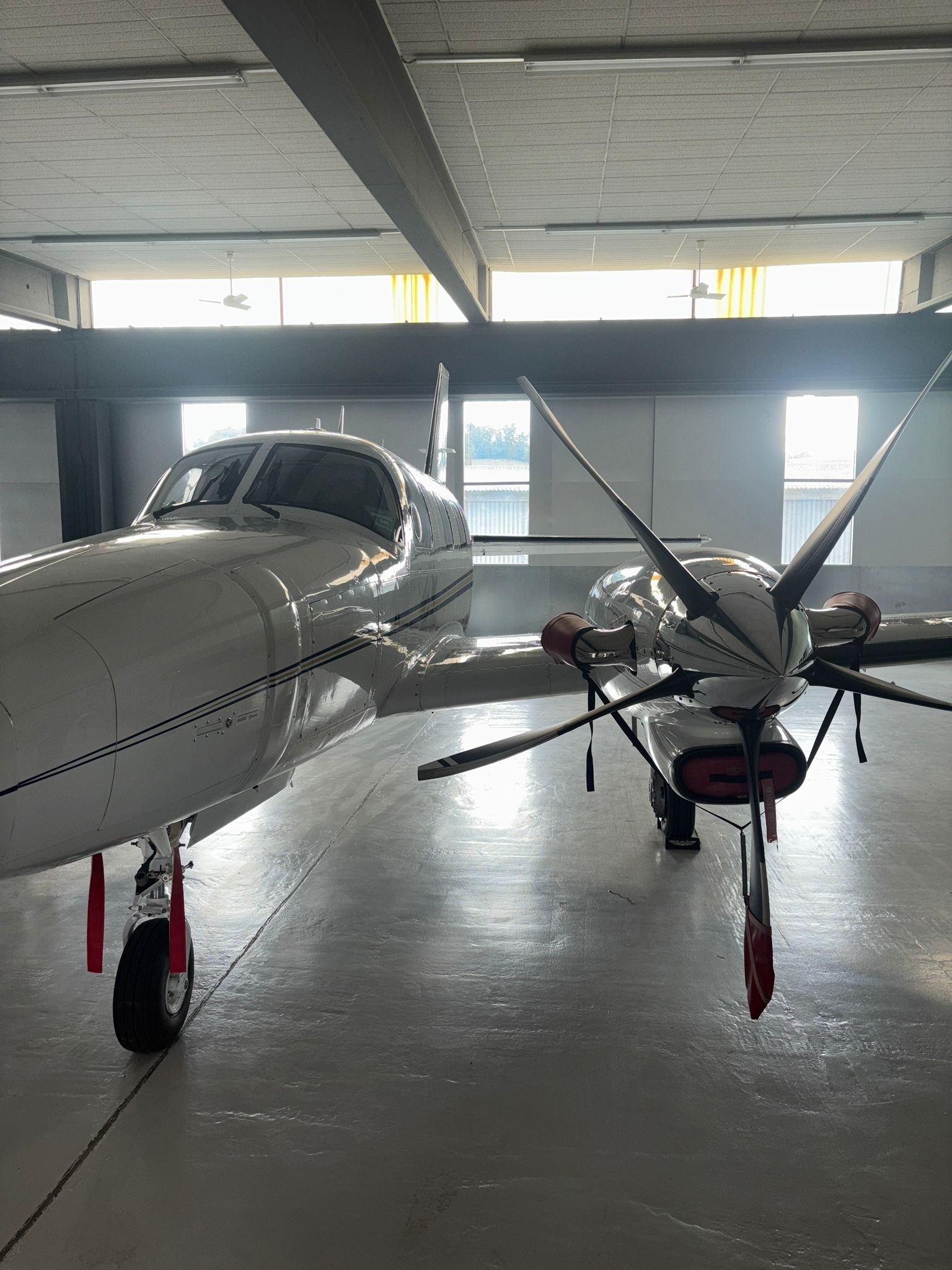 1981 Piper Cheyenne II For Sale | CH. 9675 hrs. | AvBuyer