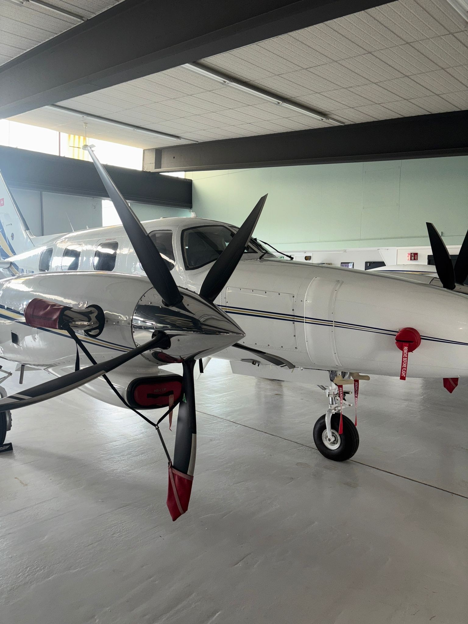 1981 Piper Cheyenne II For Sale | CH. 9675 hrs. | AvBuyer
