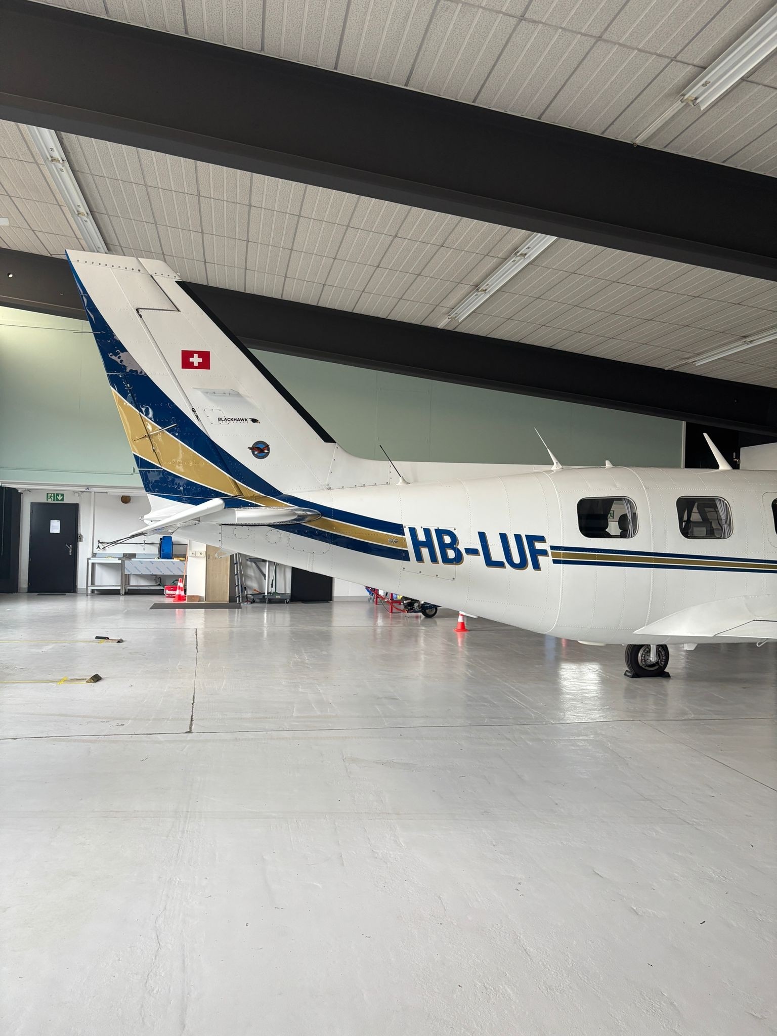 1981 Piper Cheyenne II For Sale | CH. 9675 hrs. | AvBuyer