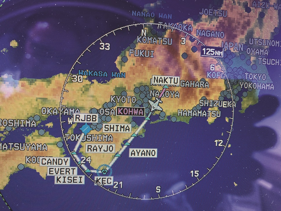 Ferry Flight Services: The 'Movers' of Aviation | AvBuyer